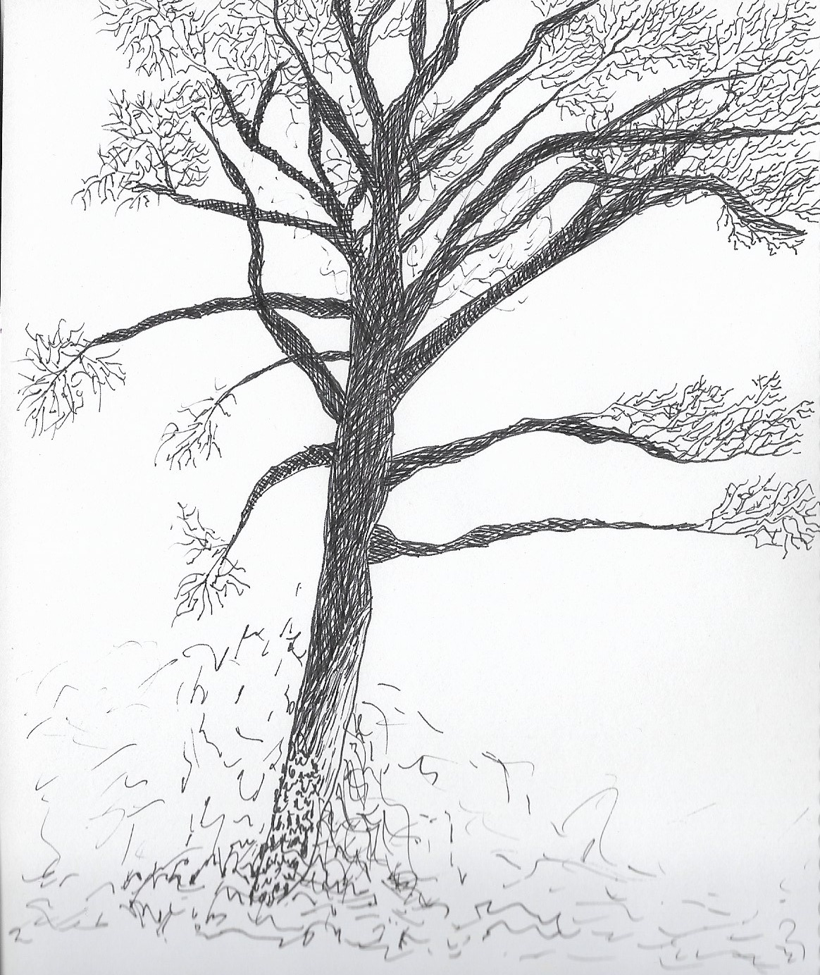 A Nature Journal – Roy Peachey's Books