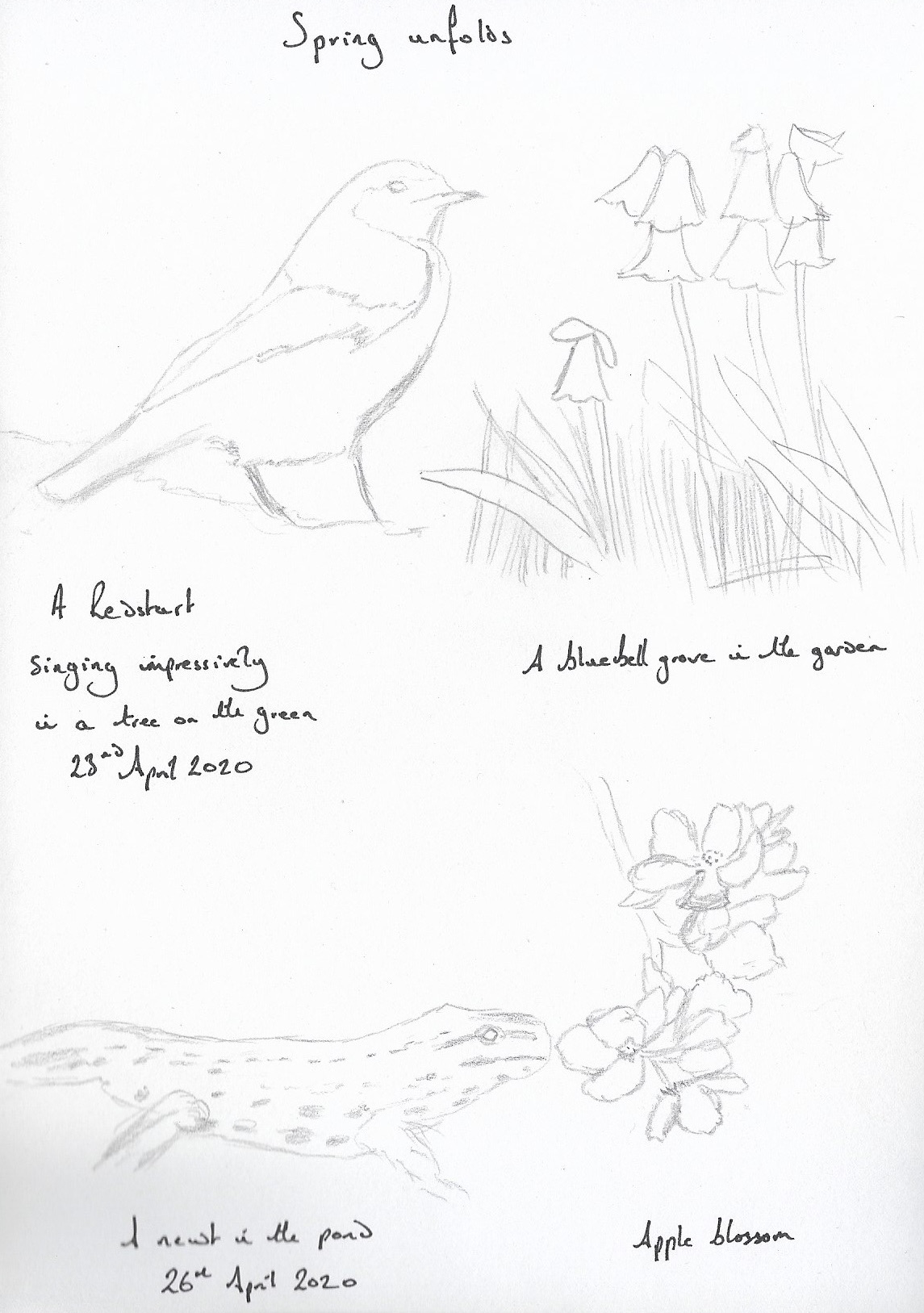 Spring unfolds – Roy Peachey's Books